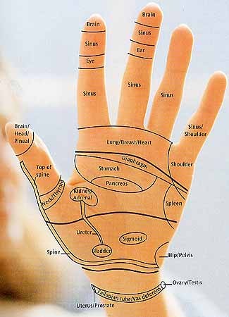 Reflexology hand store